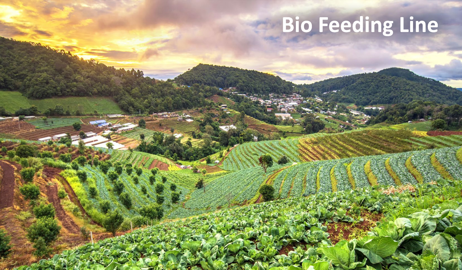 Green House Feeding Bio Line Nutrient (Organic) – Horticulture